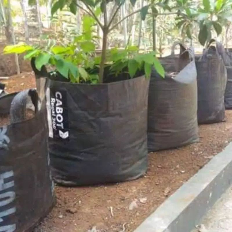 Jual Planter Bag Terpal 269 Ltr 70 cm x 70 cm | Shopee Indonesia