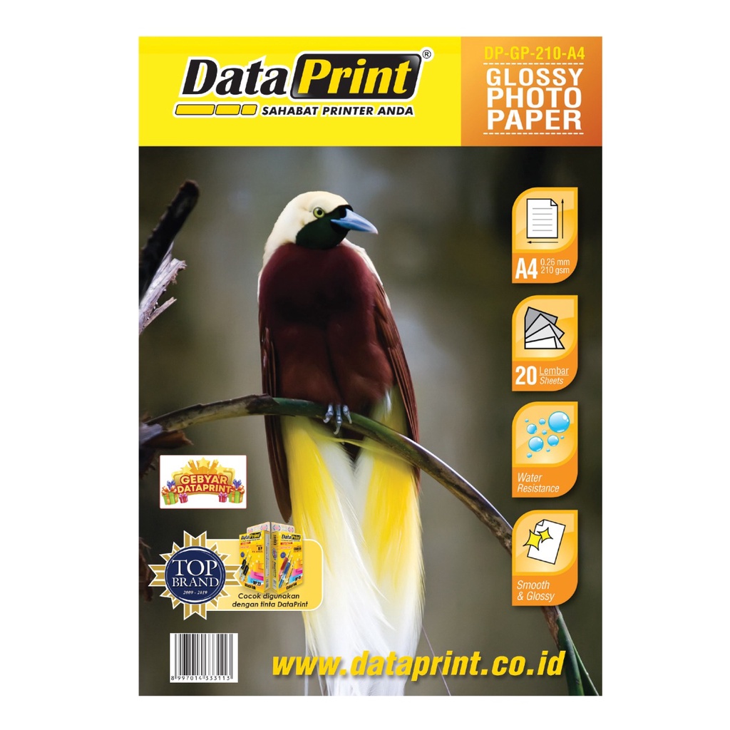 Jual DataPrint Glossy Photo Paper 210 GR A4 | Shopee Indonesia