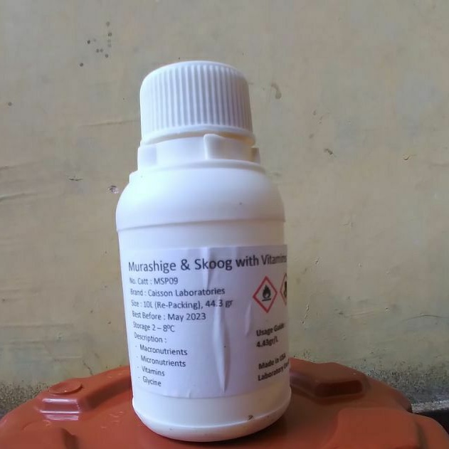 Jual Media kultur jaringan anggrek/media semai anggrek/ nutrisi MS ...