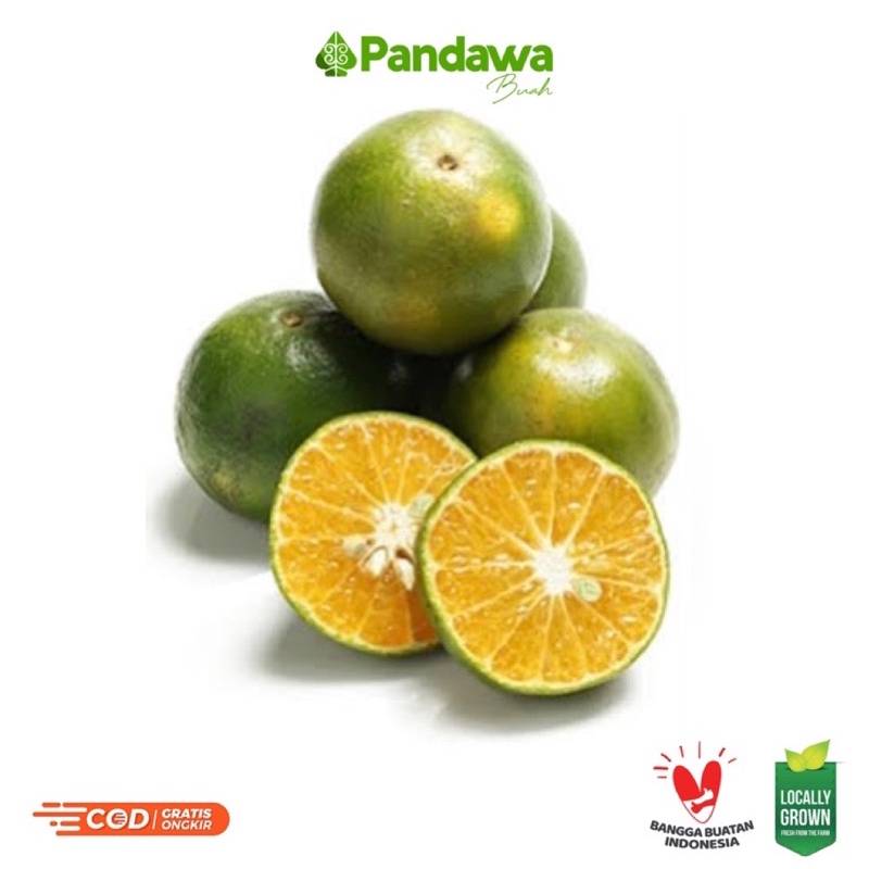 Jual Jeruk Siam Madu 1Kg / Jeruk Segar / Jeruk Siem / Buah Jeruk Fresh / Oleh-Oleh khas Batu ...