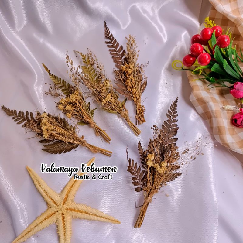 Jual Midi Bunga Kering Pakis Camelia Hiasan Vas Guci Buket Bunga Kering ...