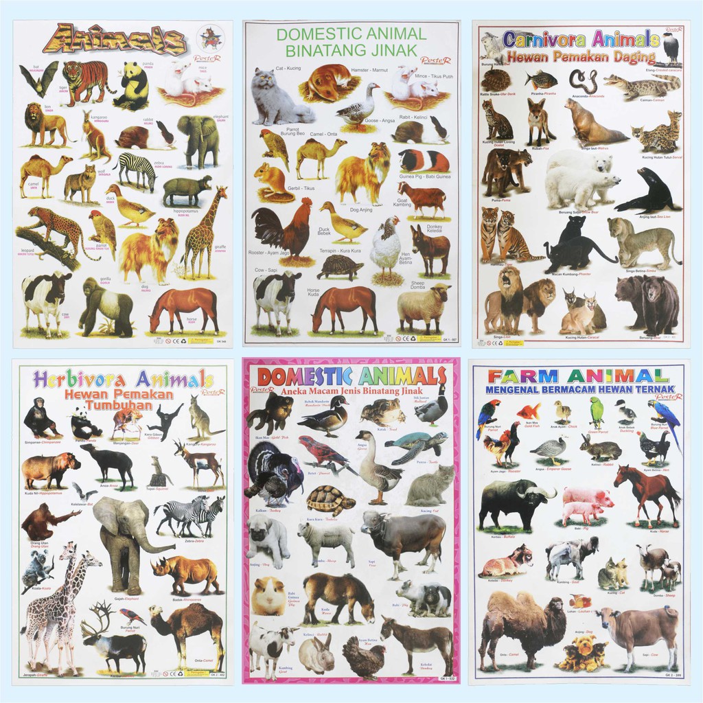 Jual Poster Edukasi Anak / Mainan Edukasi Anak Lembaran Animal Domestic ...