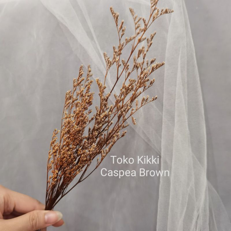 Jual 1 ikat Limonium Caspea Bunga Kering Dried Flower Bunga | Shopee ...