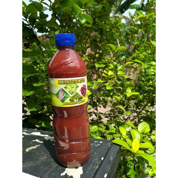 Jual Pupuk Organik PSB / Photosyntetic Bacteria / Bakteri Fotosintesis ...