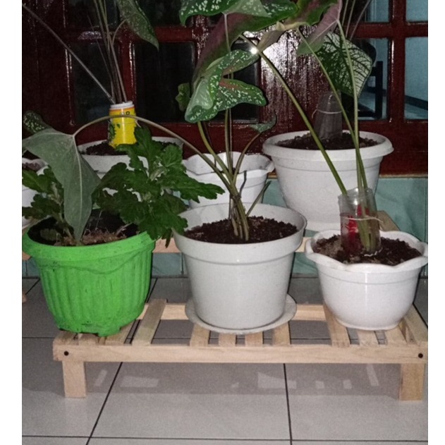 Jual Rak Pot Bunga model lurus Tatakan Pot Standing Pot Rak Kayu ...