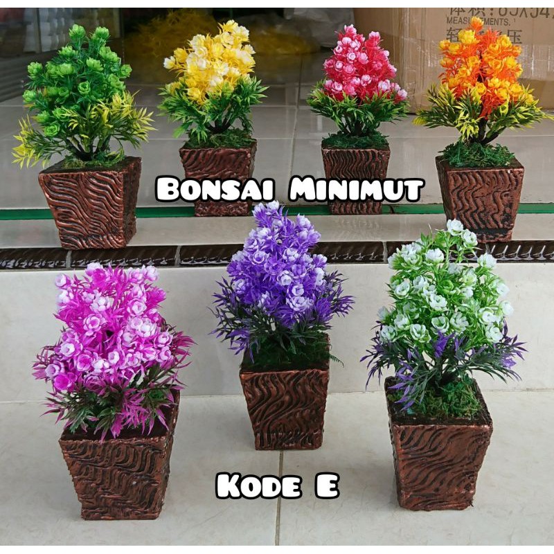 Jual Bonsai Minimut (Tanpa Pot) Bonsai Bunga Bonsai Hias Tanaman Hias ... Jual Bonsai Minimut (Tanpa Pot) Bonsai Bunga Bonsai Hias Tanaman Hias ...