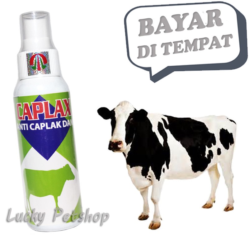 Jual Obat Anti Kutu Sapi Kerbau Anti Tungau Basmi Parasit Tungau ...