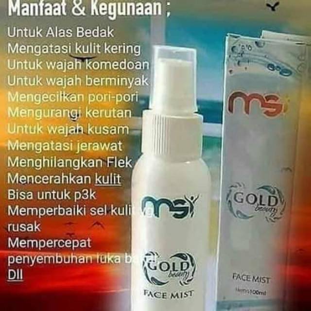 Jual FAST MIST GOLD BEAUTY MSI BPOM 100% ORIGINAL (FREE BUBBLE WRAP ...
