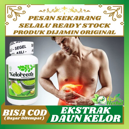 Jual Obat Herbal Ginekomastia, Peradangan Hati, Hati Bengkak, Penyakit ...