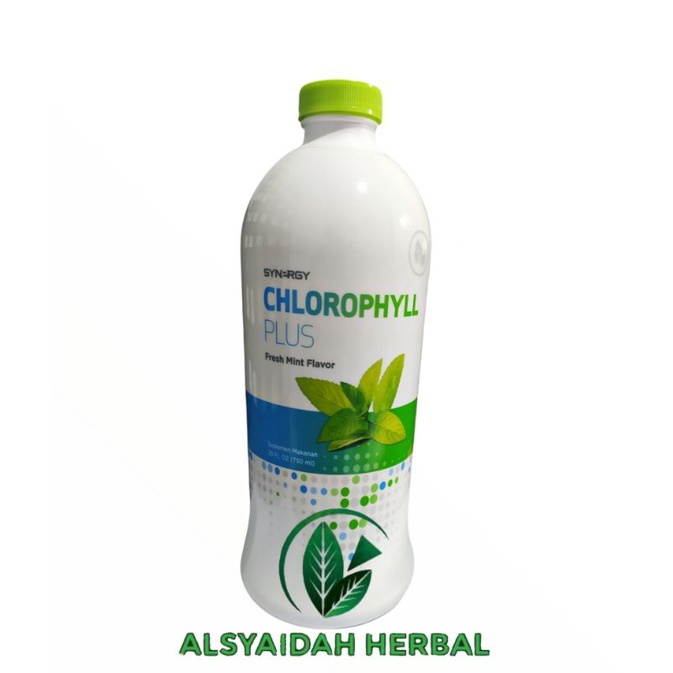 Jual Chlorophyll Plus Fresh Mint Flavor Synergy Suplemen Makanan 730 ml ...