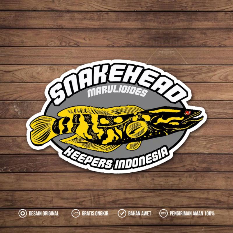 Jual STIKER IKAN PREDATOR PBASS OSCAR ARWANA 6 PCS | Shopee Indonesia