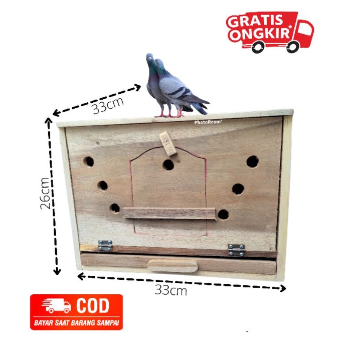 Jual gupon merpati, pagupon merpati, tong dara | Shopee Indonesia