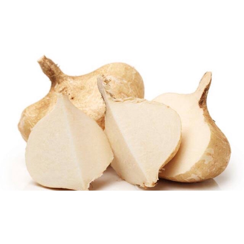 Jual Bengkoang Bengkuang 1 kg Fresh (buah segar) | Shopee Indonesia