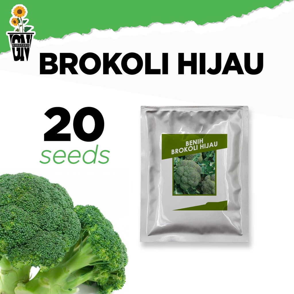 Jual Benih Super Brokoli Hijau Sayur Dataran Rendah dan Tinggi - isi 20 ...