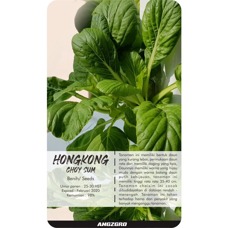 Jual Benih Sawi Hongkong Sawi Bunga Caisim Choy Sum isi 1000 pcs ...