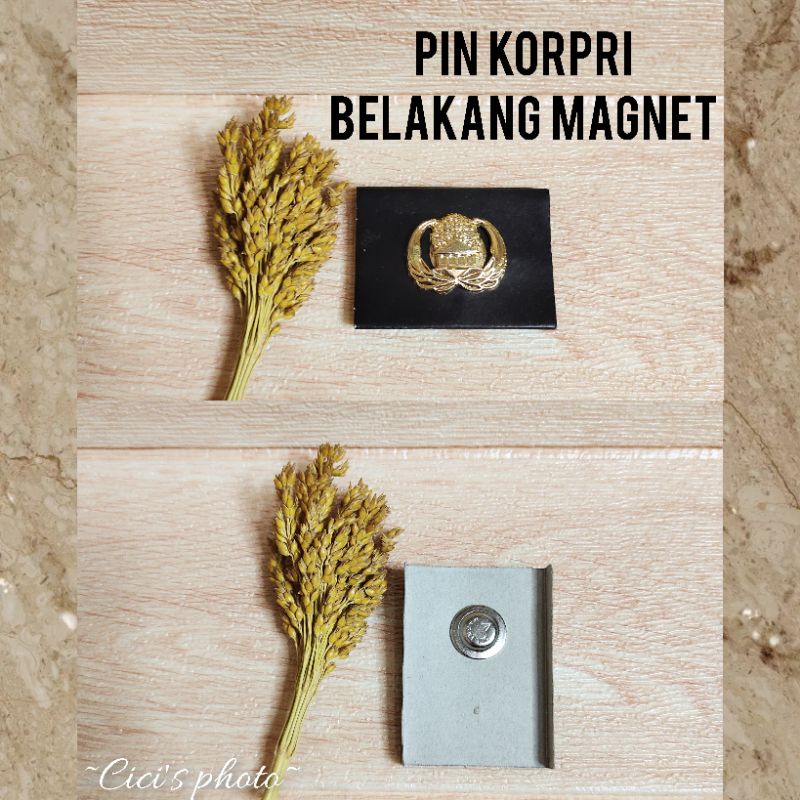 Jual PIN KORPRI PNS / ASN TEBAL ( Magnet dan paku ) | Shopee Indonesia