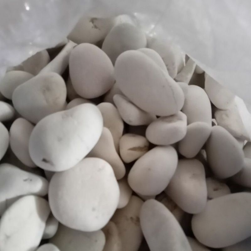 Jual BATU ALAM PUTIH/KORAL PUTIH KEMASAN 1KG /BATU HIAS/BATU TAMAN ...