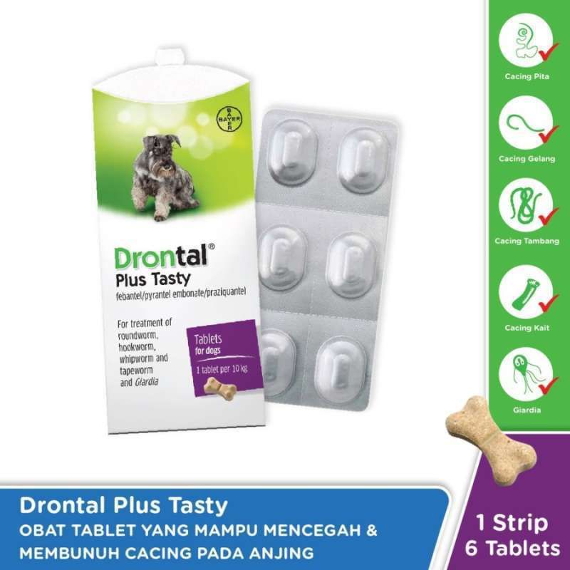 Jual DRONTAL PLUS TASTY DOG Obat Cacing 1 Tablet (Bentuk Tulang ...