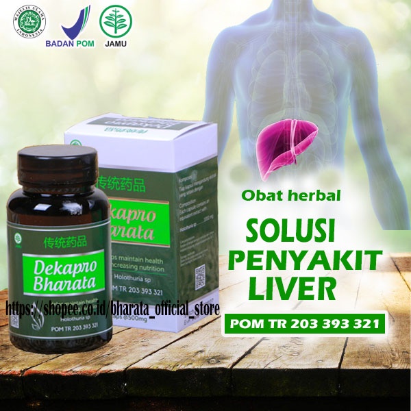 Jual Obat Herbal Hepatitis - Liver Gangguan Fungsi Hati Penyakit Kuning ...