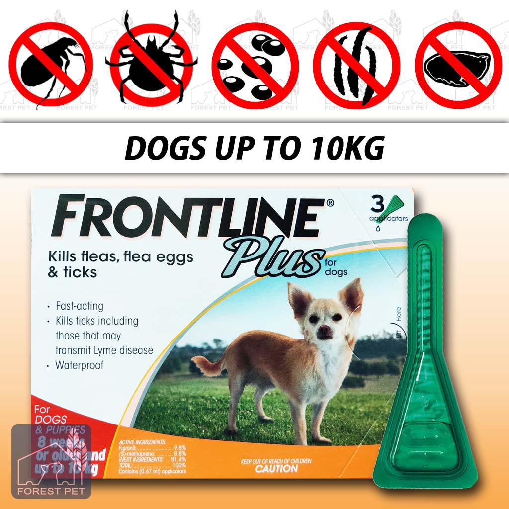 Jual Obat kutu anjing Frontline Plus up to 10kg for Dogs / Obat kutu ...