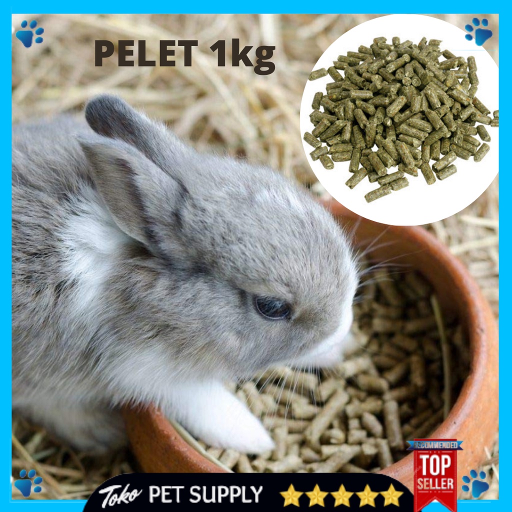 Jual SANKYU RABBIT FOOD 1KG RABBITFOOD MAKANAN PAKAN PELET PELLET ...