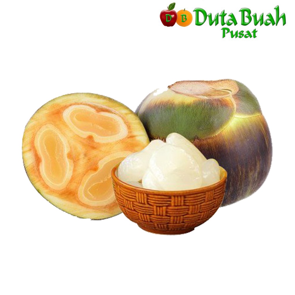 Jual DUTA BUAH Buah Lontar | Shopee Indonesia