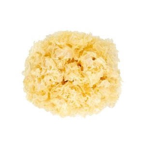 Jual Jamur Es (1 pack) | Shopee Indonesia