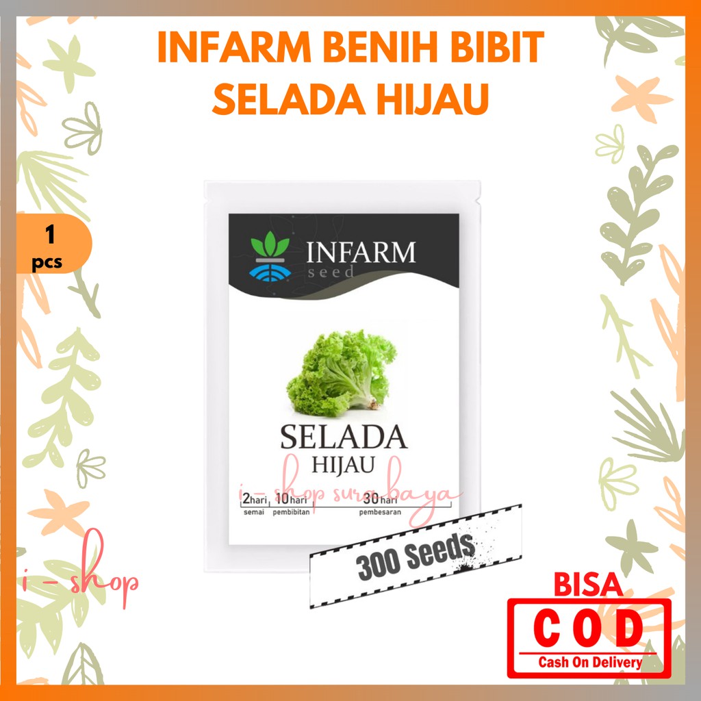 Jual Infarm Benih Bibit Super Selada Hijau / Biji Sayuran Selada Hijau ...
