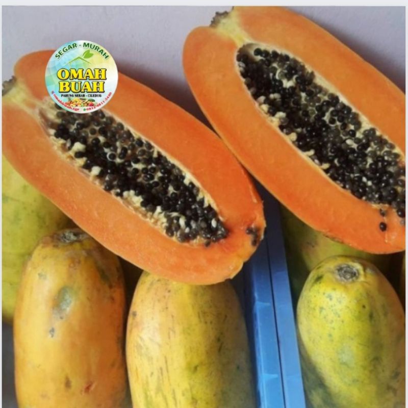 Jual Pepaya California Segar Fresh | Shopee Indonesia