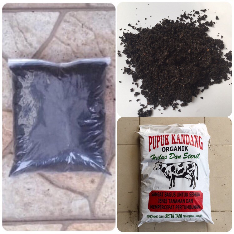 Jual Repack Pupuk Kandang Sapi Organik Halus dan Steril Mempercepat ...