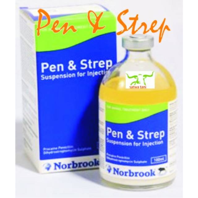 Jual PEN & STREP INJ. (kombinasi 2 antibiotik) | Shopee Indonesia
