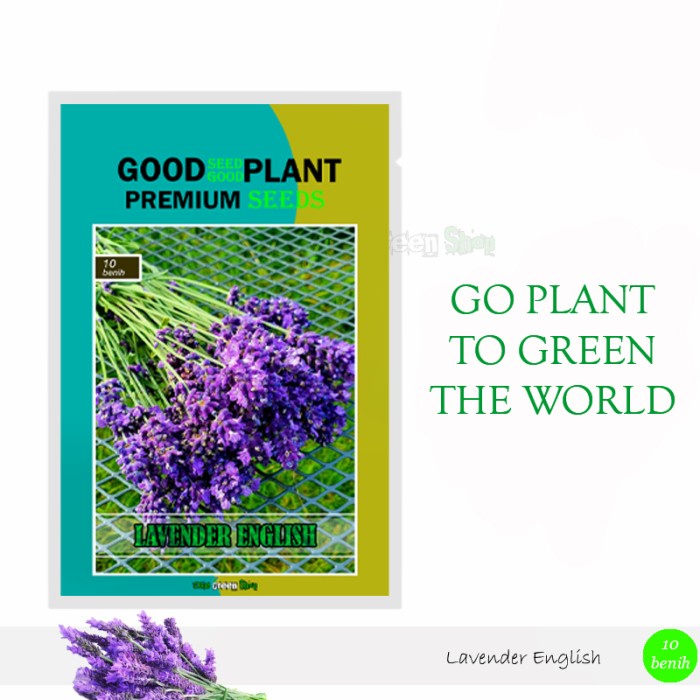 Jual 10 biji - Benih Bibit Bunga Lavender English Herbal Premium ...