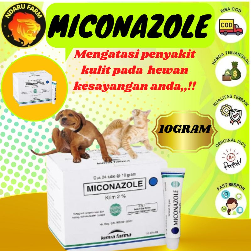Jual Obat Salep Miconazole Nitrte 10g Jamur Luka Infeksi Kucing Anjing ...