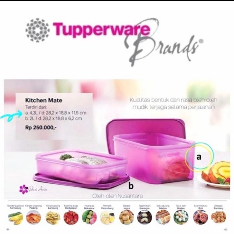 Jual tupperware modular mates rectanguler - tempat kimchi - wadah buah ...