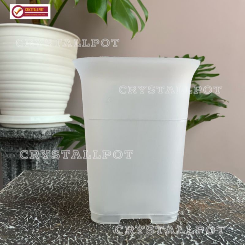 Jual POT BUNGA TANAMAN KOTAK JUOSS 12 BENING TRANSPARAN - NKT KOTAK 12 ...