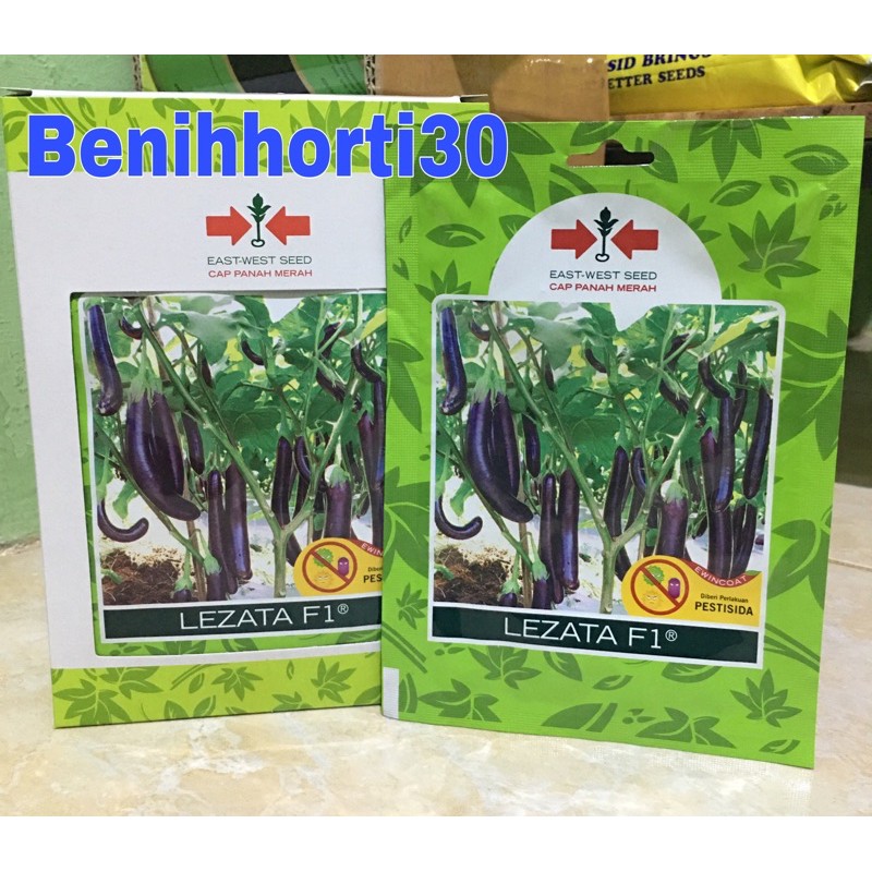 Jual Benih Terong Ungu Lezata F1 isi 400 butir | Shopee Indonesia