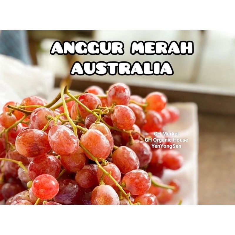 Jual Buah Anggur Merah Australia/Fresh Segar Terlaris Enak Garing ...