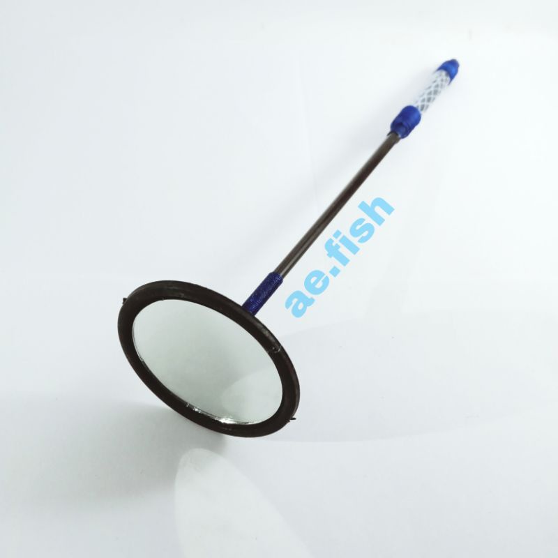 Jual Stick kaca mental predator stik cermin ikan cupang Channa louhan ...