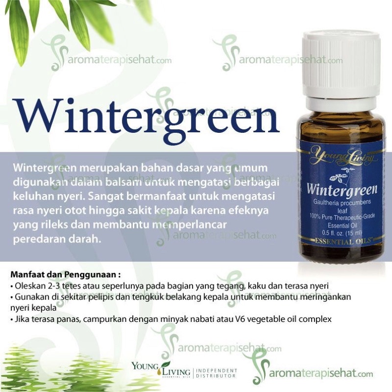 Wintergreen young living store