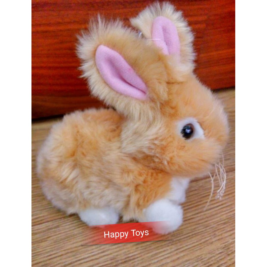 Jual BONEKA KELINCI BM1459 GT45 | Shopee Indonesia