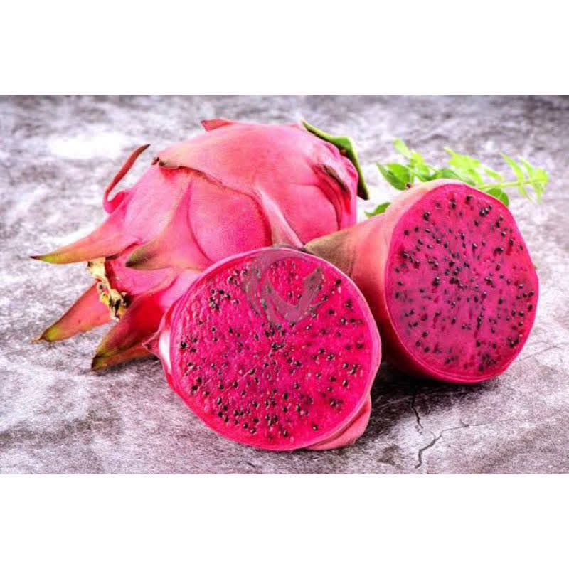 Jual Buah Naga Hasil Kebun Sendiri Shopee Indonesia