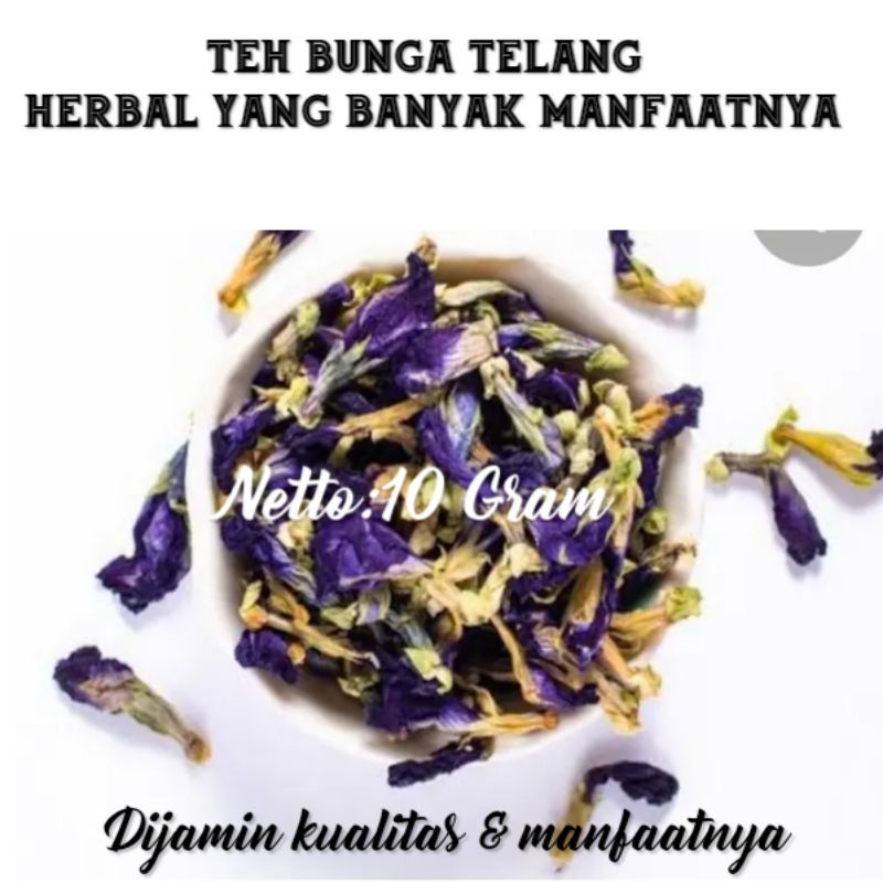 Jual Teh Bunga Telang Kering 10 Gram | Shopee Indonesia