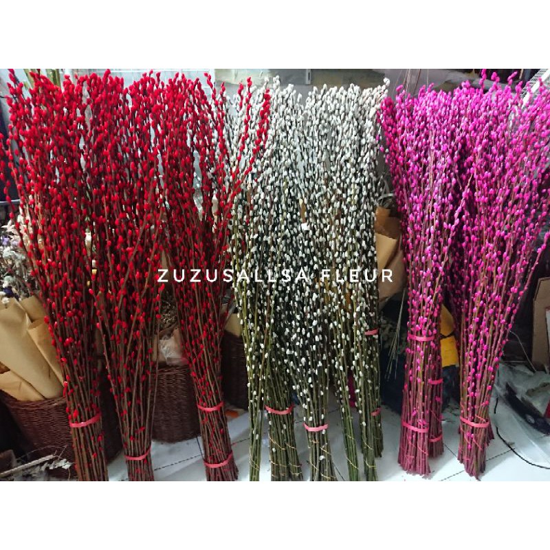 Jual SEIKAT 10 tangkai Pussywillow 120cm SINGLE bunga imlek 1,2m pussy ...