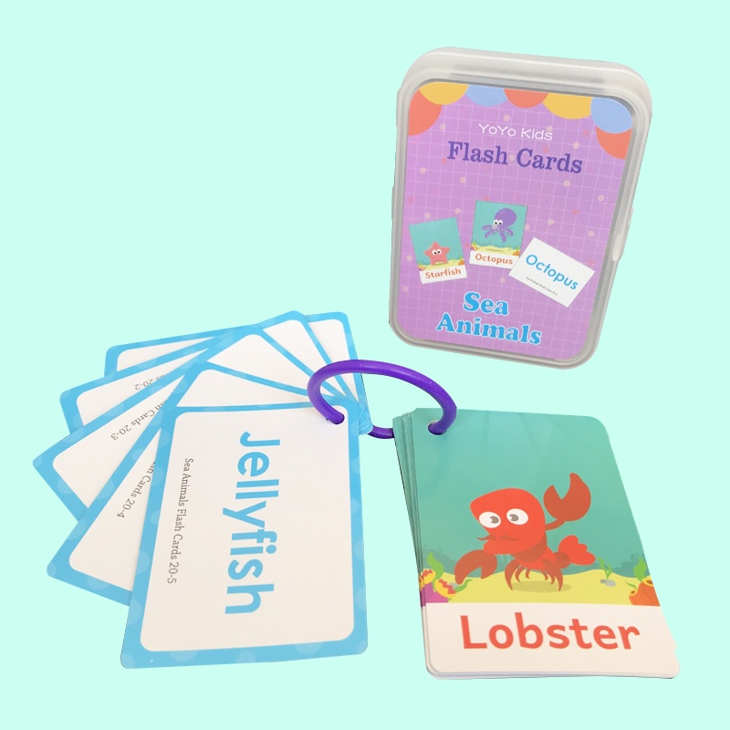 Jual Flash Card Edukasi Anak Mainan Edukasi Anak Kartu Pintar Balita ...