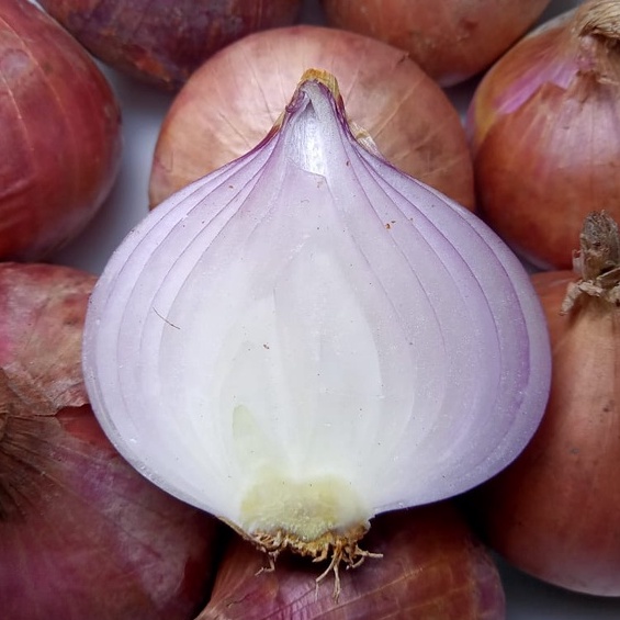 Jual Bawang Merah Peking Pakistan India 1Kg | Shopee Indonesia