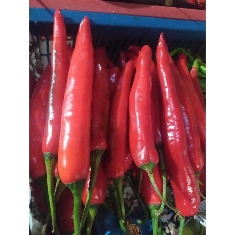 Jual cabe merah besar / cabe TW 250g | Shopee Indonesia