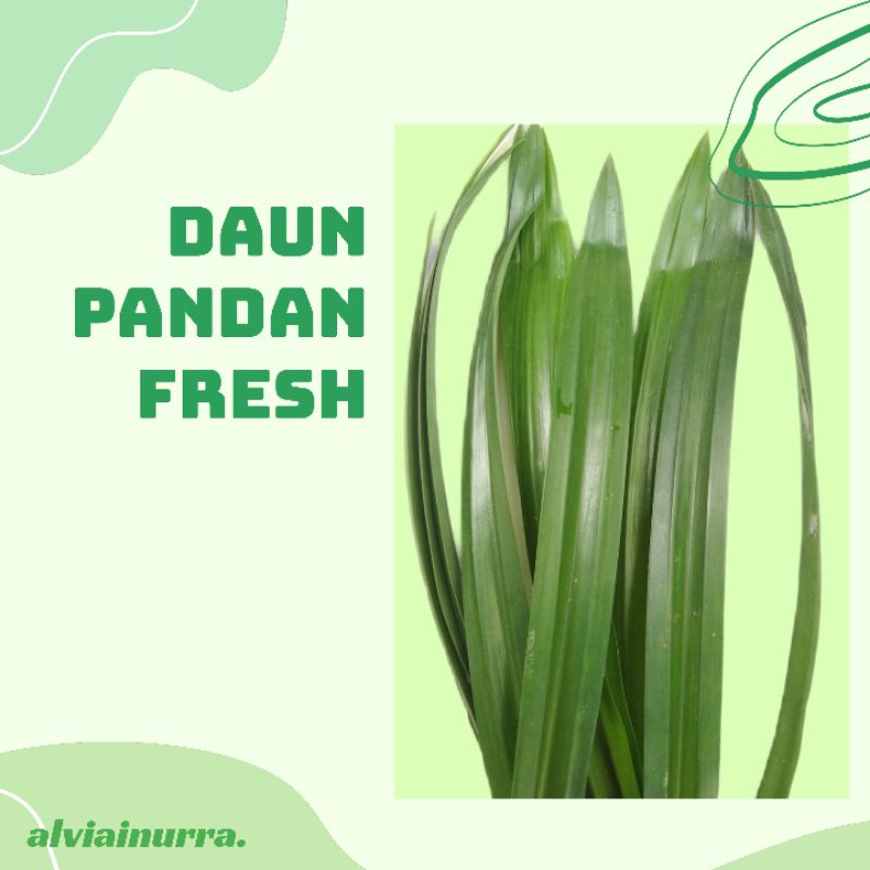 Jual DAUN PANDAN WANGI PER 10 LEMBAR PAKET DAUN PANDAN FRESH | Shopee ...