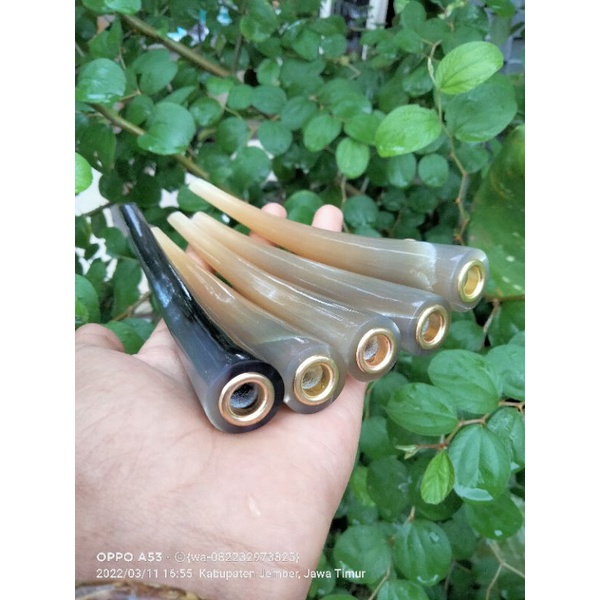 Jual pipa once tanduk kerbau | Shopee Indonesia