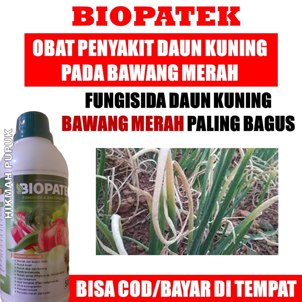 Jual OBAT PENYAKIT BAWANG MERAH DAUN KUNING PALING BAGUS BIOPATEK 500 ...