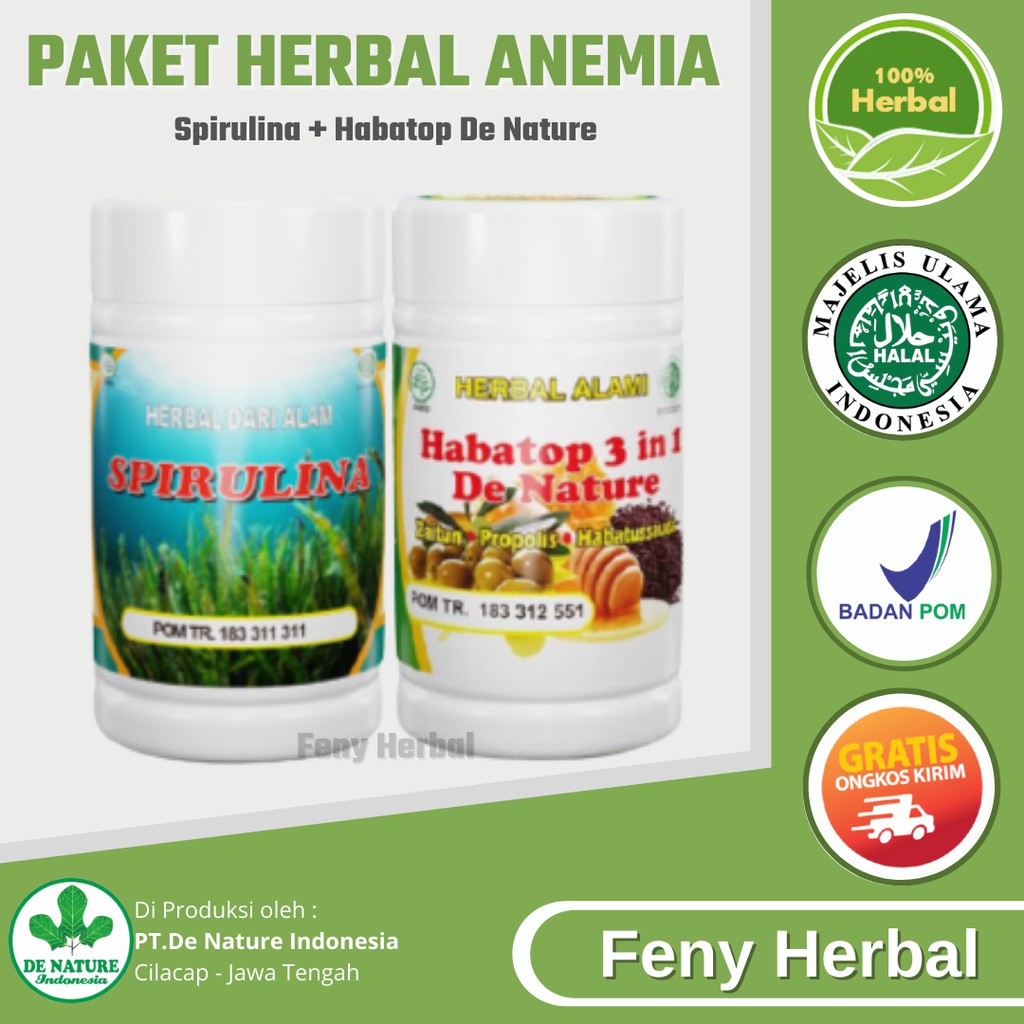 Jual Obat Anemia Daya Tahan Tubuh dan Pemulihan DBD Demam Berdarah ...